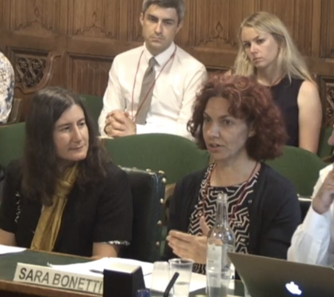 About Sara – Sara Bonetti Research